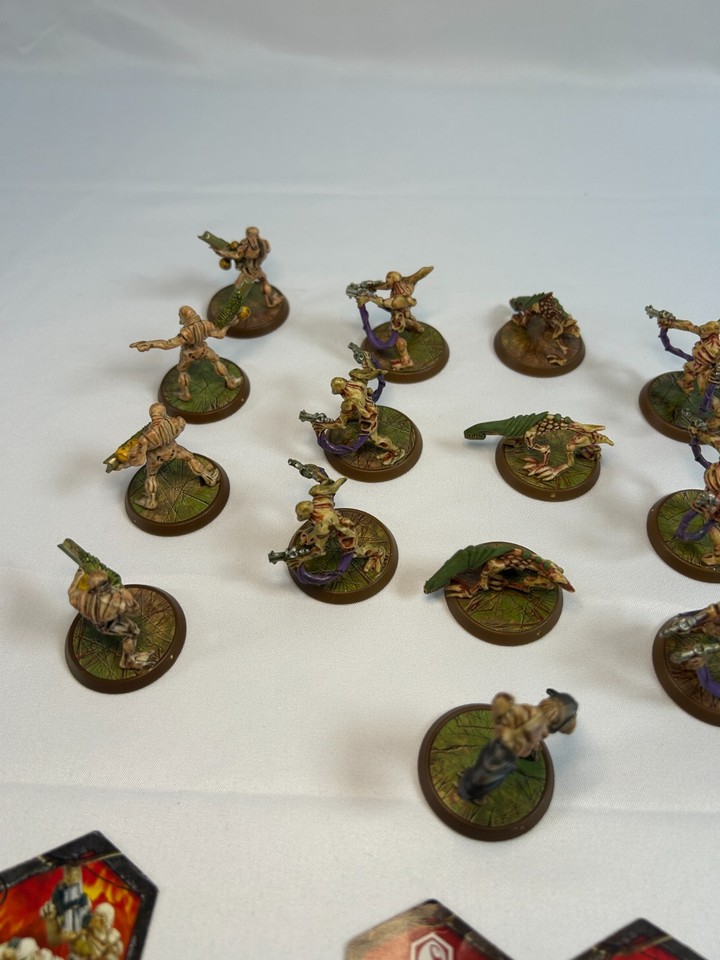 Heroscape Marro Army Lot Ne-Gok-Sa Warriors Stingers Drudge Nagrubs ...
