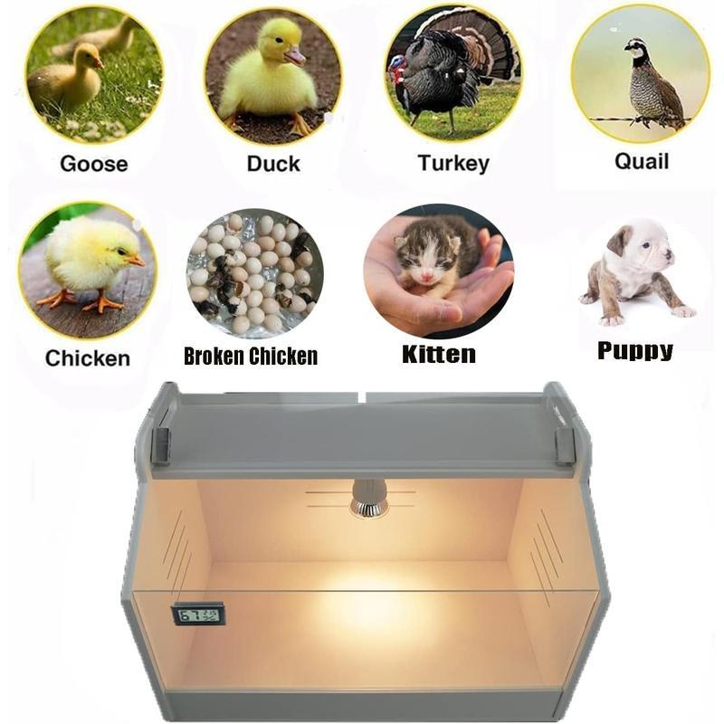 10-15 Chicks Intelligent Brooder Box Quail Birds W/ Heating Lamp ...