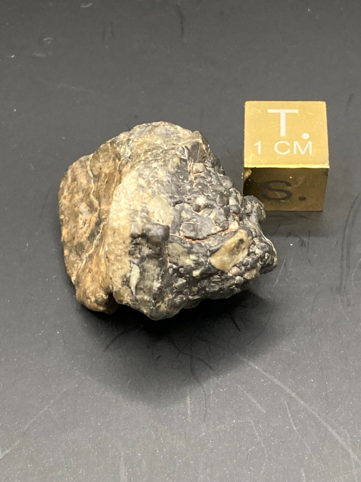 NWA 13859 Lunar Lunar (feldsp. breccia) Meteorite 14.3g | eBay