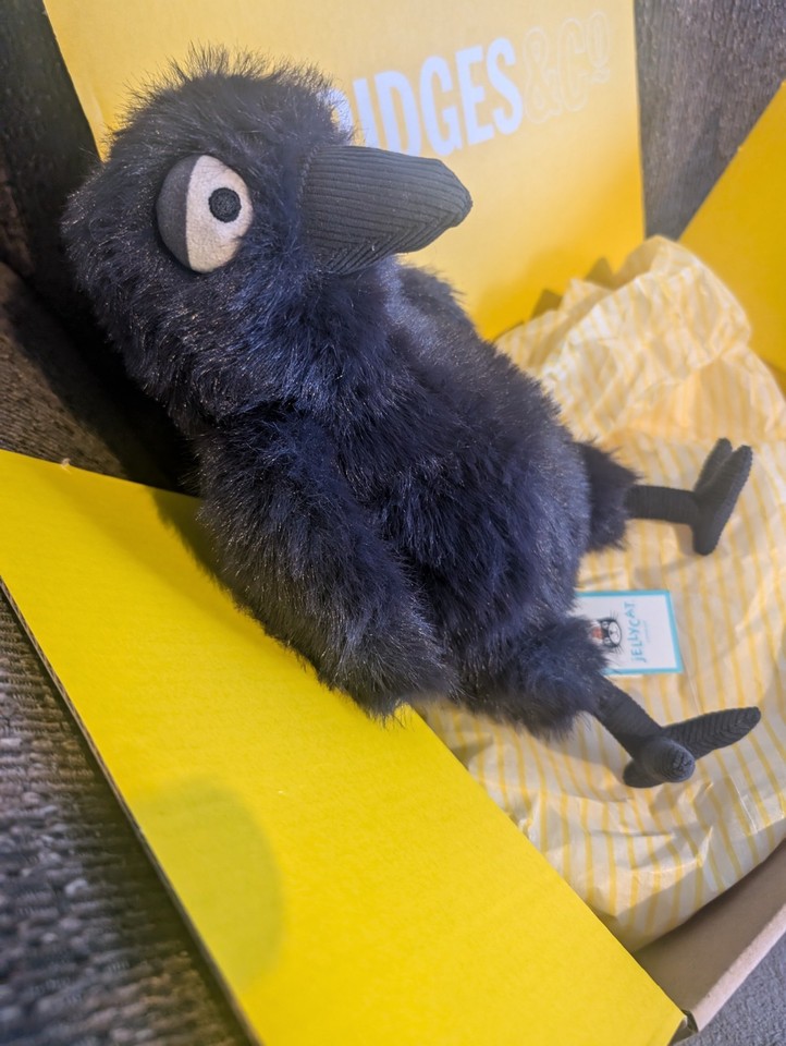 Jellycat Hocus Crow New with Tags Fast Shipping UK Seller Halloween 100 ...