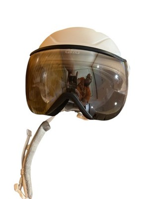 Giro Aria Spherical Ski/Snow Helmet W/ Shield Size Medium 55.5-59cm ...