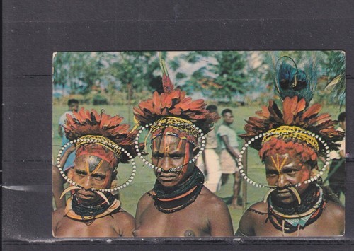 PAPUA, NEW GUINEA, WESTERN HIGHLANDS, GIRLS, SHELL ORNAMENTS, c1980 ppc ...