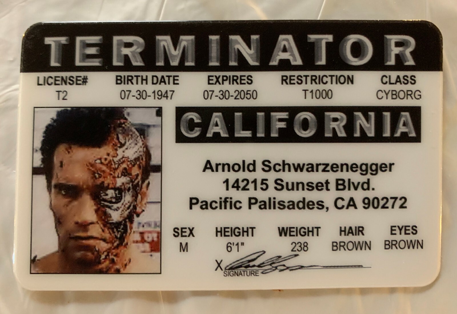 Terminator Arnold Schwarzenegger Novelty Card California CA | eBay