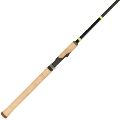 Rods - G Loomis Spinning Rod