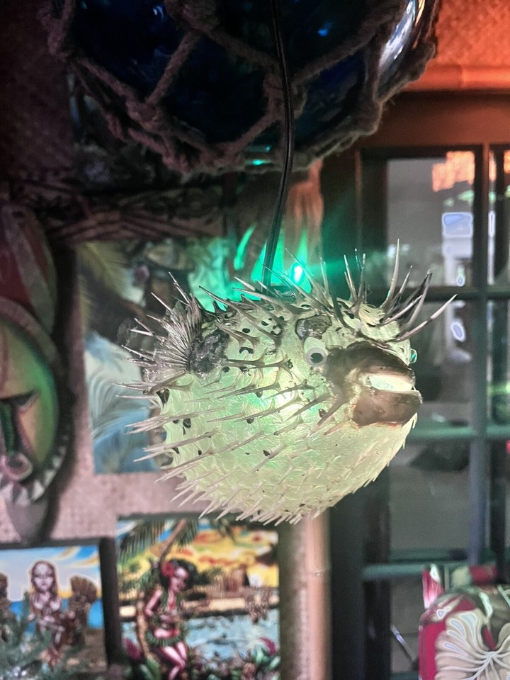 NEW 10” Puffer Fish Lamp w/ C/C Bulb LED Tiki bar Smokin Tikis Oceanic ...
