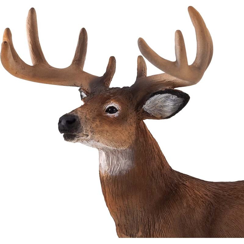 MOJO: White Tailed Deer Buck Realistic Internation Wildlife Childrens ...