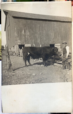 Farmer and Bull, ARRINGTON, KANSAS, Photo Post Card 1905-15, Atchison County | eBay