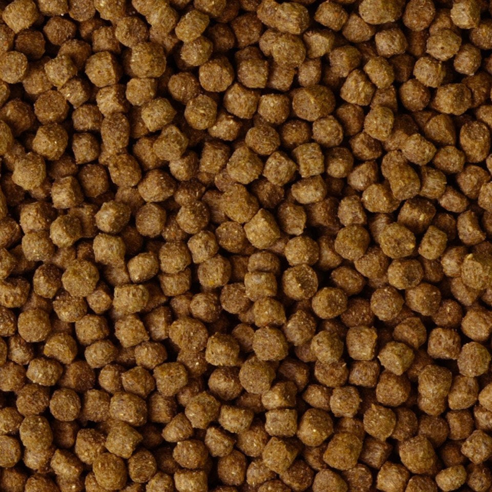 5mm POND PELLETS - (10kg) - Pettex Small Pellet Fish Food Koi Carp ...