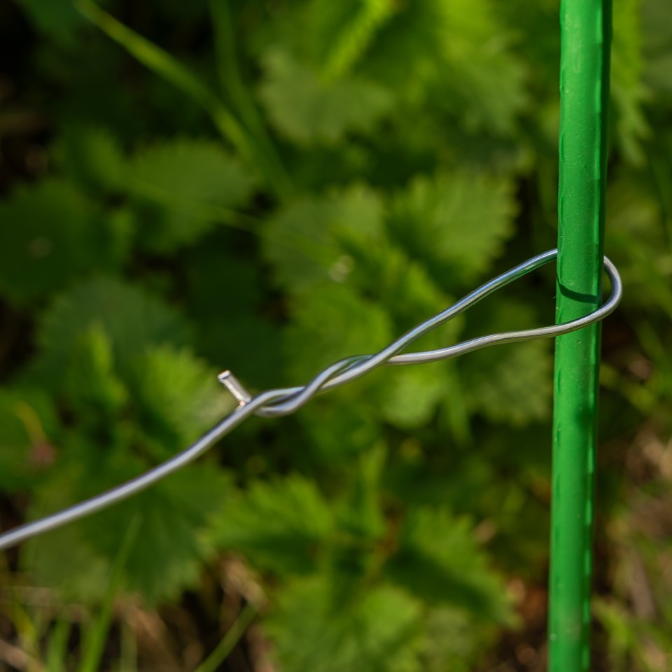 Galvanised Steel Garden Wire for Plant Ties & Support, DIY & Fencing ...