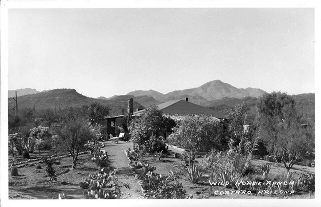 Wild Horse Ranch, Cortaro, Arizona 1950s OLD PHOTO | eBay