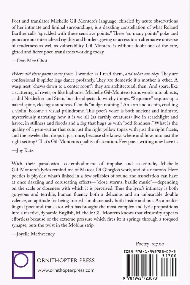 Michelle Gil-Montero Object Permanence (Paperback) (UK IMPORT ...