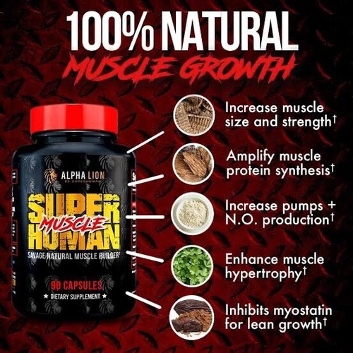 Original Alpha Lion Super Human MUSCLE Savage Natural Muscle Builder 90 ...