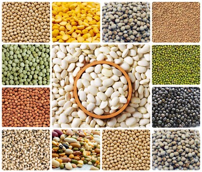 Pure Organic Pulses Lentils Peas Beans Legumes Dry Whole and Split ...