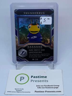 2021-22 UD MVP #M-25 Thunderbug Mascots Tampa Bay Lightning (B) | eBay