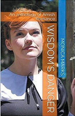 Wisdom's Danger by Monica Marks Paperback Book | eBay UK