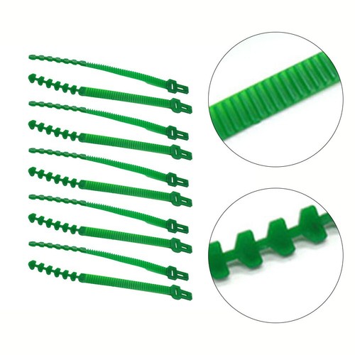 Versatile Adjustable Support Straps for Garden Trees and Shrubs (10pcs ...