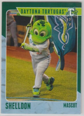 2023 Choice Daytona Tortugas #40 Shelldon Mascot | eBay
