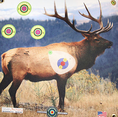 ARROWMAT-1500 PLUS SHOTS! ELK WITH SCORING ZONE! 17"X 17" | eBay