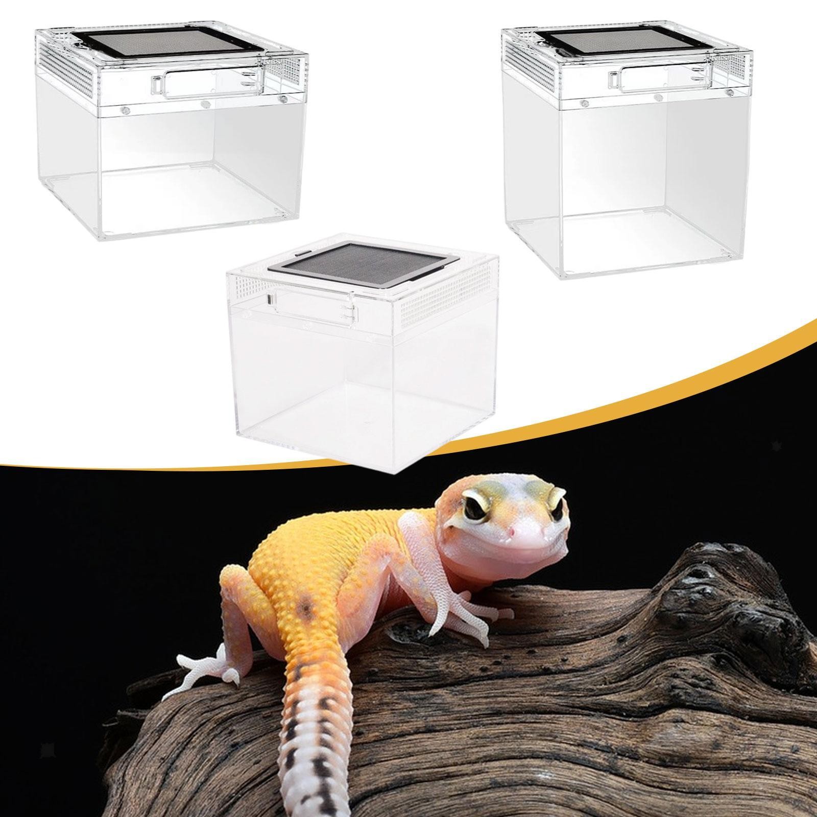 Reptile Terrarium Ventilation Transparent Breeding Box Reptile Tank for ...