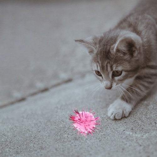 100 Pcs Plush Ball Fuzzy Cat Balls Enrichment Toys for Indoor Cats | eBay