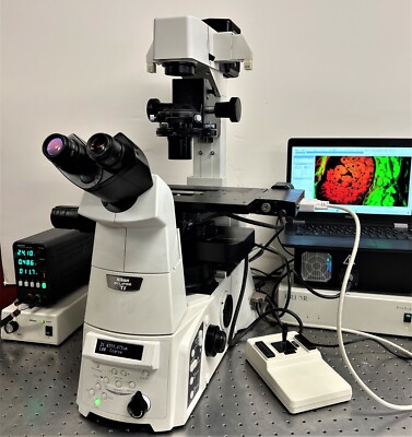 Microscopes - Microscope System