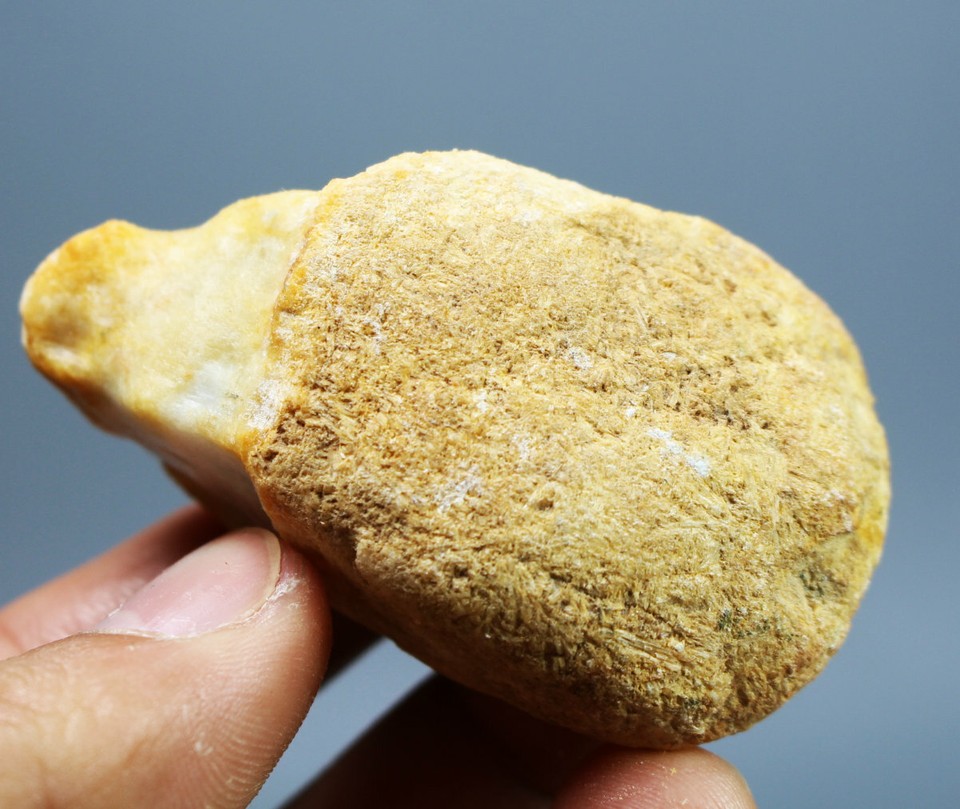 Natural Jadeite Boulder - Rough Raw Cut Natural Form Tyte Jade Specimen ...