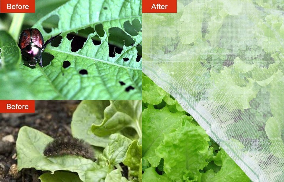 Agfabric Garden Insect Barrier Mesh Netting Against Mosquito Bugs Birds ...