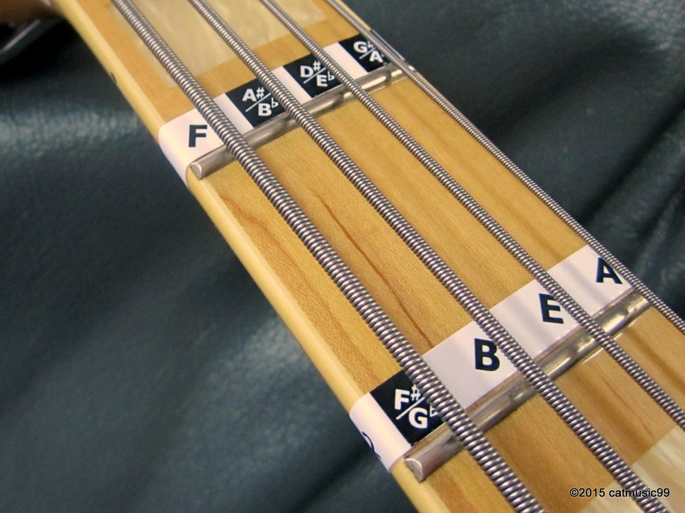 Bass Guitar Fretboard Note Labels Fret Stickers + Online Lessons ...