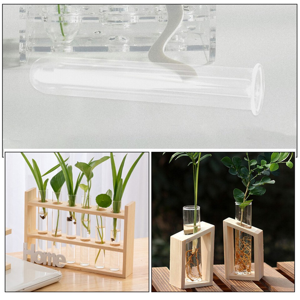 4 Pcs Test Tube Vase Convenient Glass Propagating Tubes for Plants | eBay