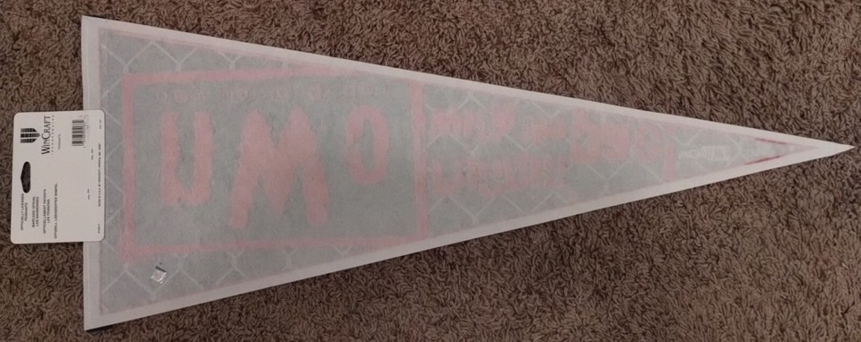 NWO New World Order WCW Runnin' With The Pac WWF WWE Wrestling Pennant ...