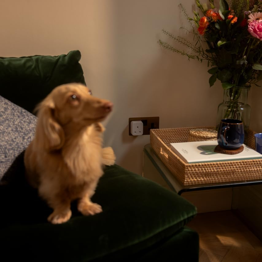 New Hive Active Plug with Signal Booster Feature | eBay UK