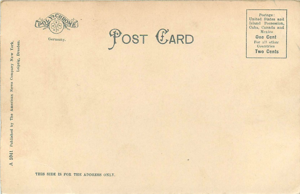 POUGHKEEPSIE NY ADRIANCE MEMORIAL LIBRARY PRE-07 P/C | eBay