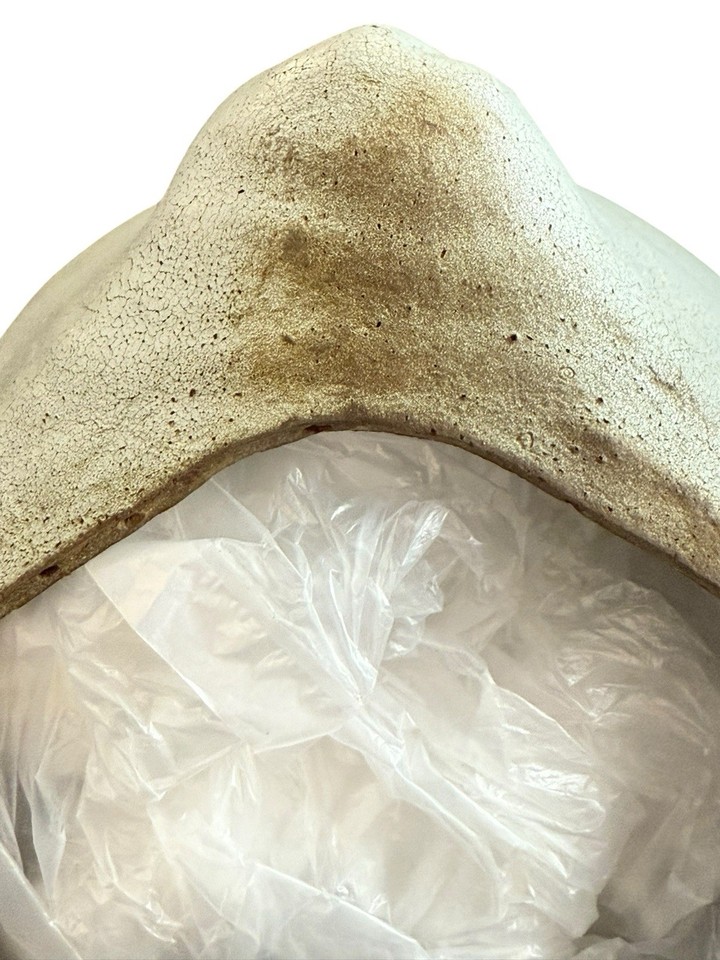 X-Files Prop "Grey Alien" Mask And Full Body Suit from Wrap Party | eBay