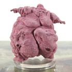 Baldur's Gate Descent into Avernus ~ NUPPERIBO #18 Icons Realm D&D ...