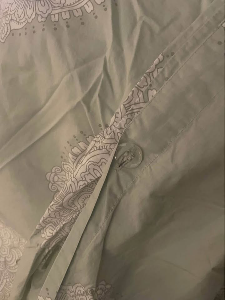 · Ballard Designs Sage Green LOLA Medallion F/Q Cotton Duvet Cover | eBay
