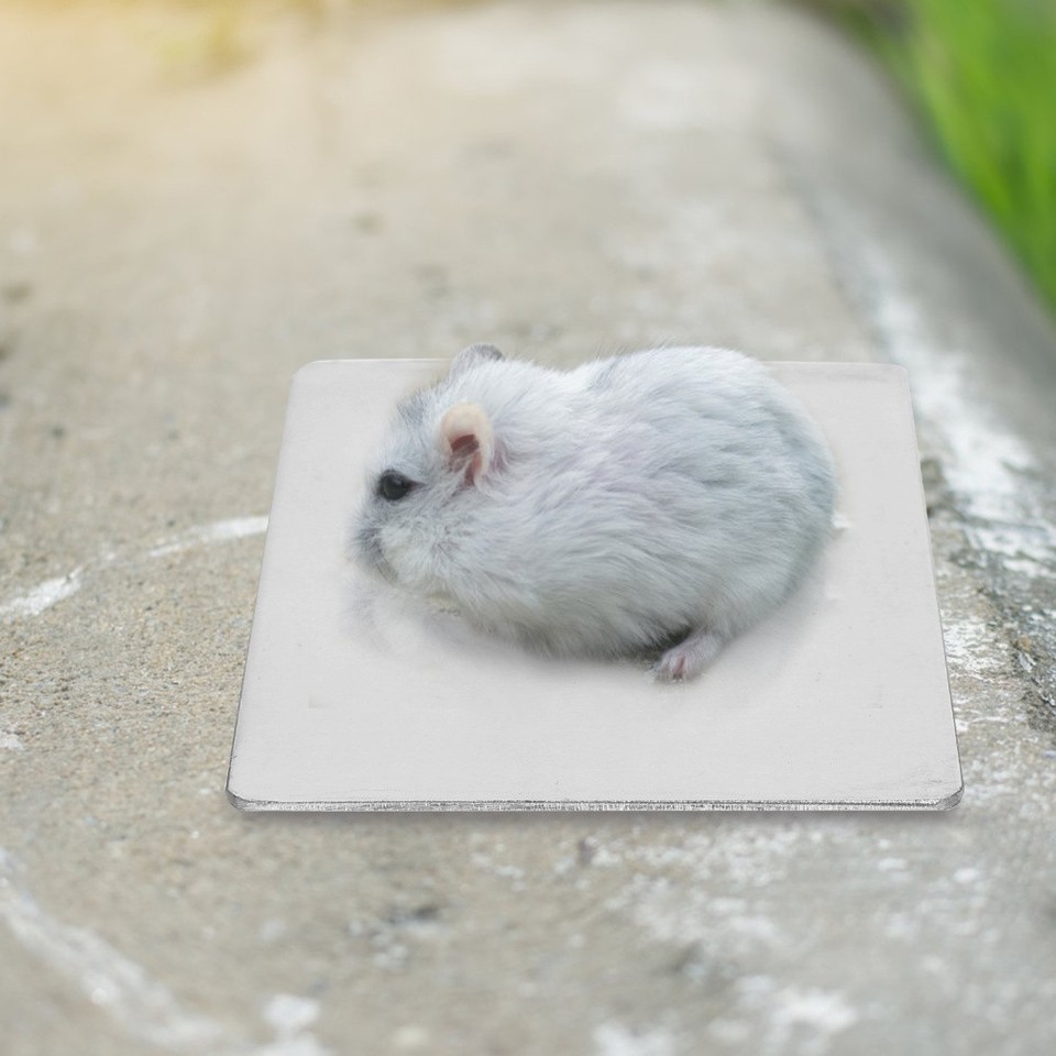 2Pcs Hamster Cooling Pad Rabbit Cooling Mat Stainless Steel Cooling Mat ...