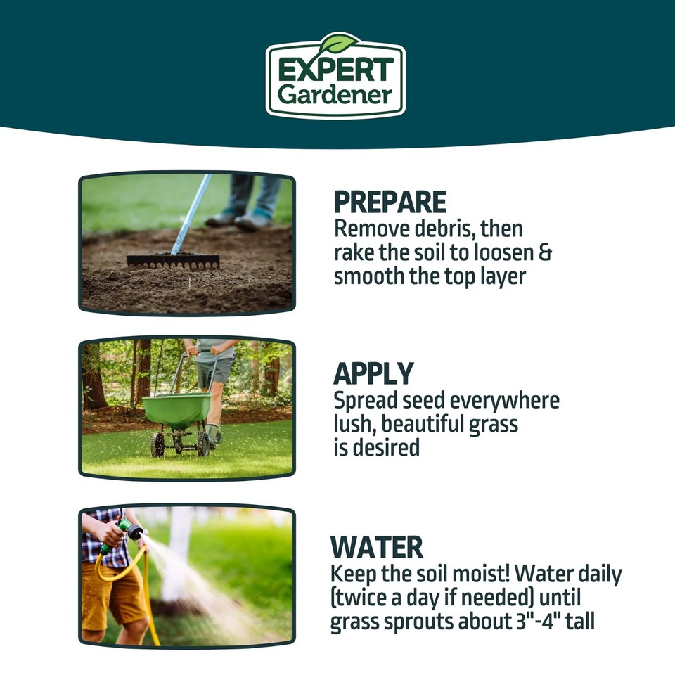 Expert Gardener Kwik Grass Seed Mix, for Sun to Partial Shade, 3 lb. | eBay