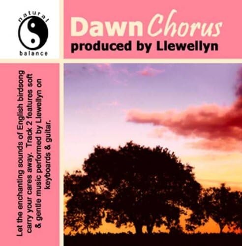 CD Llewellyn Dawn Chorus Enchanting English Birdsong Soft Gentle Music ...