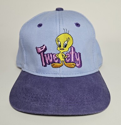 Official Looney Tunes Embroidered Tweety Bird Youth Snapback Cap (NWT ...