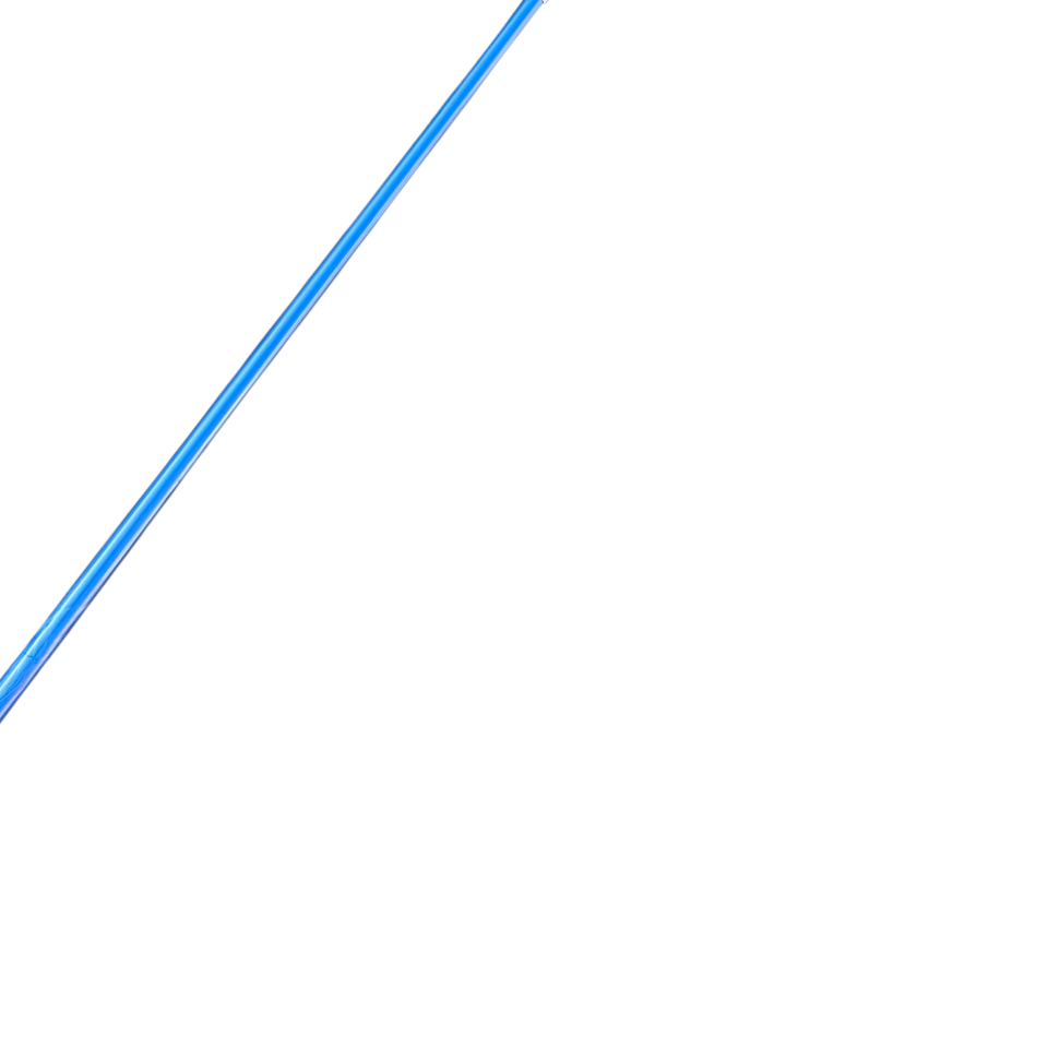 Horse Riding Crop Edward Goddard Training Whip 65cm Blue | eBay UK