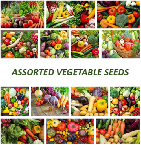 ASSORTED VEGETABLE SEEDS Vegetable Garden Mixed Vegetable Seeds | eBay ...