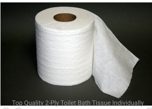 Gen500 Tissue, 96 Sinlge Rolls Toilet Paper, 2-Ply, Individually ...