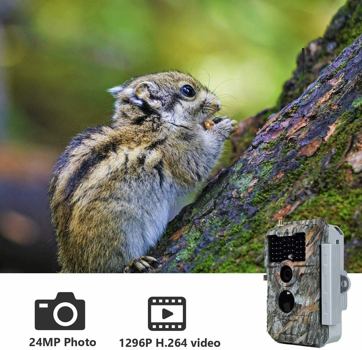 64MP 1296P Wireless Hunting Game Trail Camera Wildlife Night Vision No ...