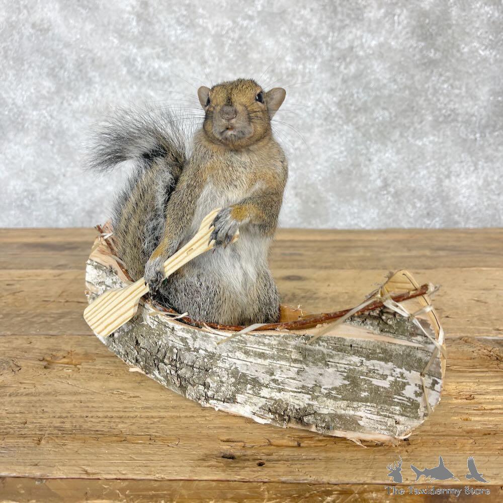 Taxidermy Funny
