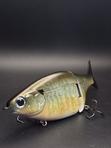 CUSTOM PAINTED HINKLE SHAD JR Glide Bait Modified | eBay