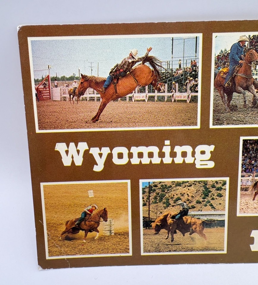 Vintage Postcard Wyoming Rodeo Collage Bronc Riding Calf Roping Bull ...