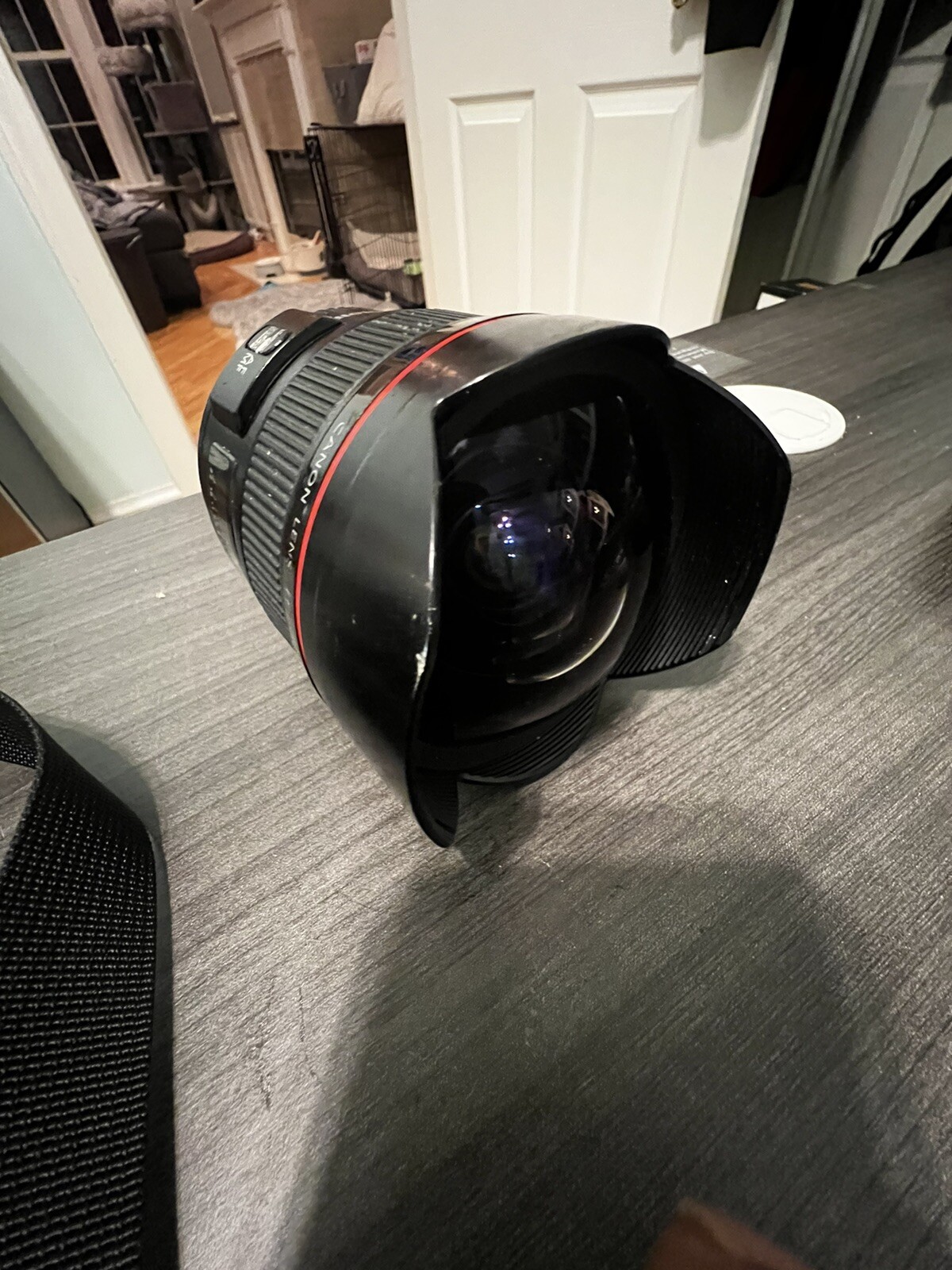 Canon EF 14mm f/2.8 L II USM | eBay
