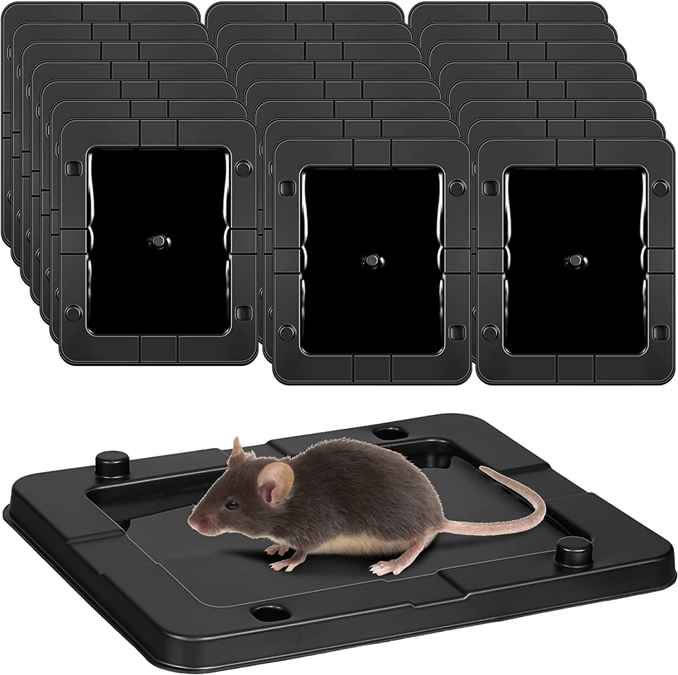 24 Pack Mouse Insect Glue Traps Bulk Strong Sticky Mouse Traps Large ...