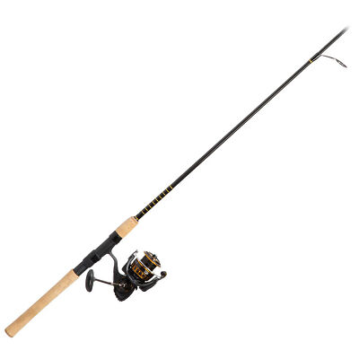 Daiwa BG Saltwater Spinning Fishing Rod and Reel Combo | eBay