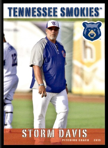 2015 Storm Davis MiLB Minor League Rookie Card Tennessee Smokies | eBay